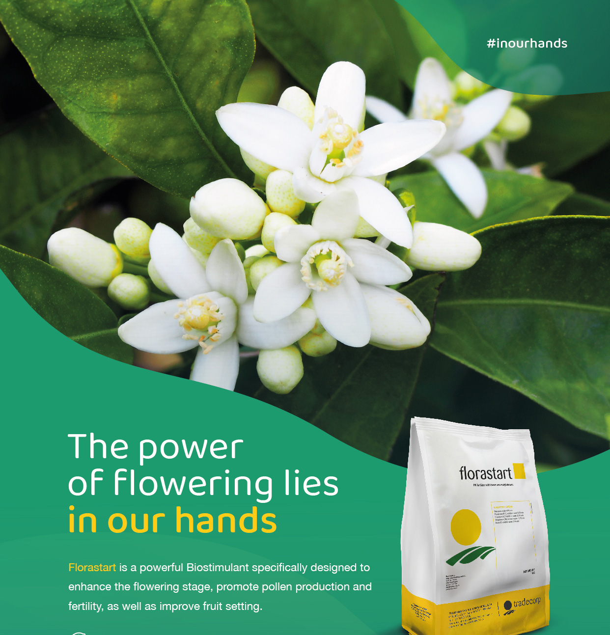 The power of flowering lies in our hands, Tradecorp’s sustainable ...